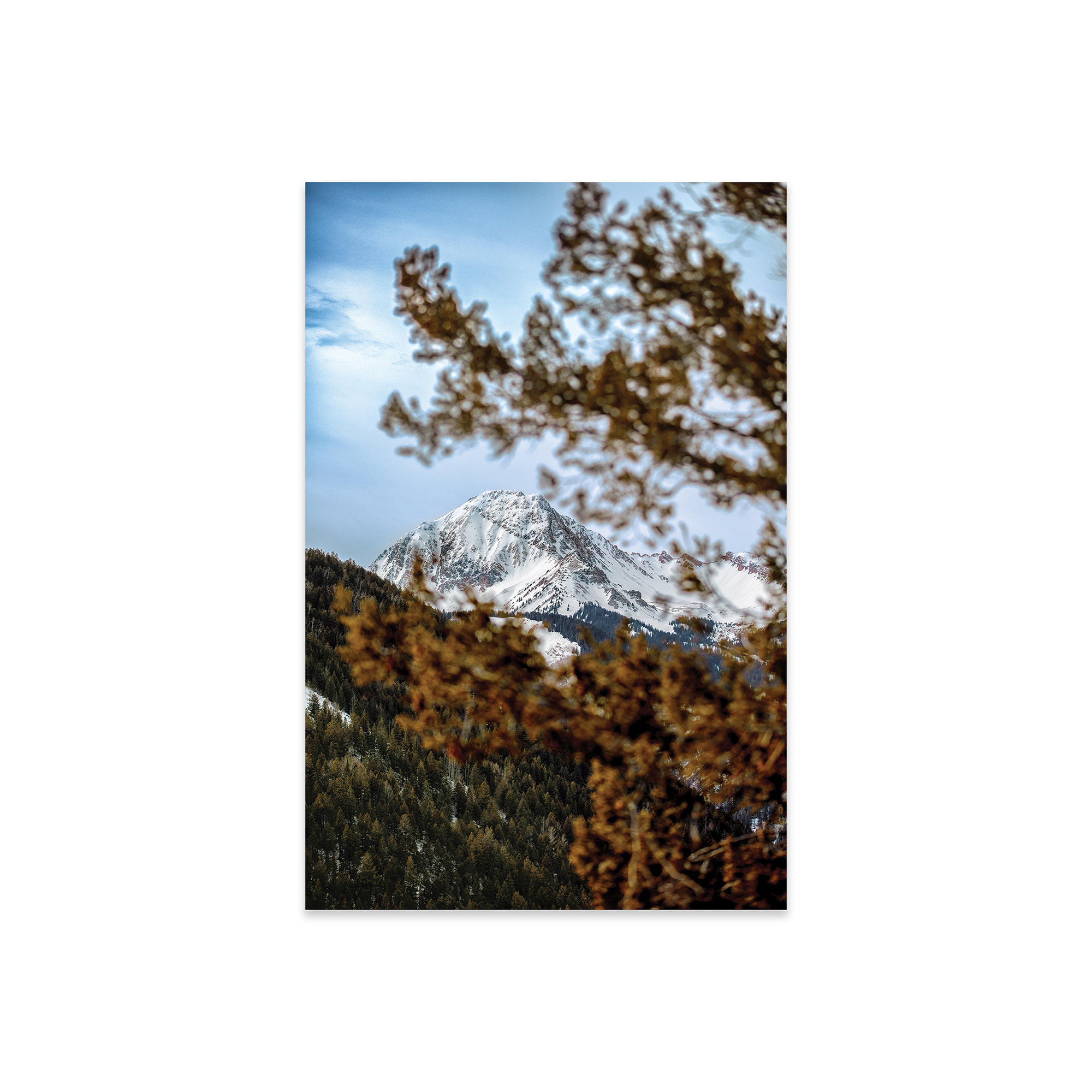 Millwood Pines Rocky Mountain Glimpse by Jonathan Ross Photography Painting | Wayfair